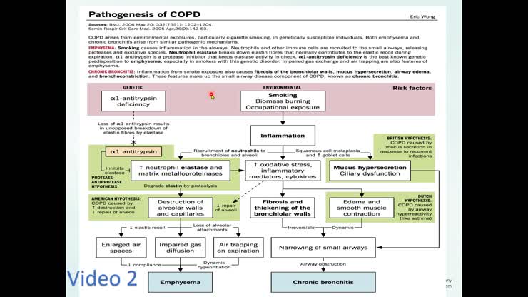2. Pathophysiology of COPD