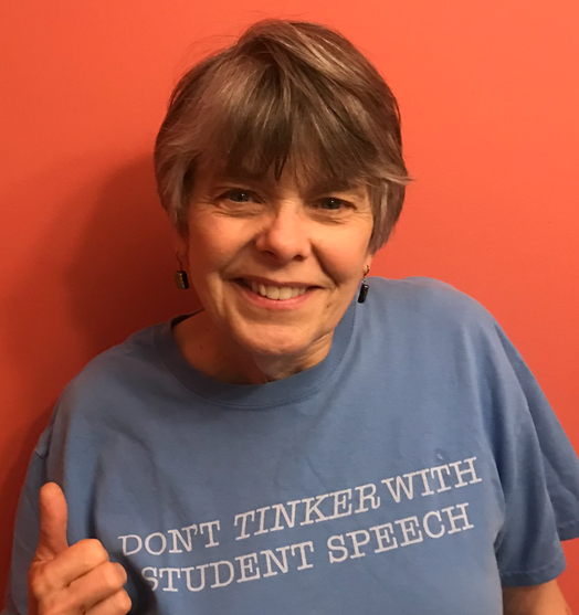 NYSDLC Connections: A Conversation with Mary Beth Tinker