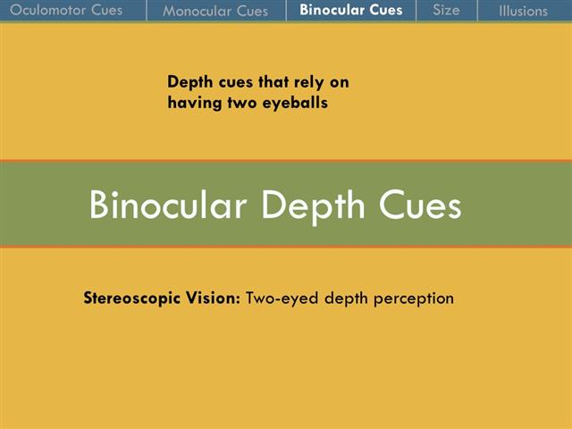 07 Depth and Size: 04 Binocular Depth Cues