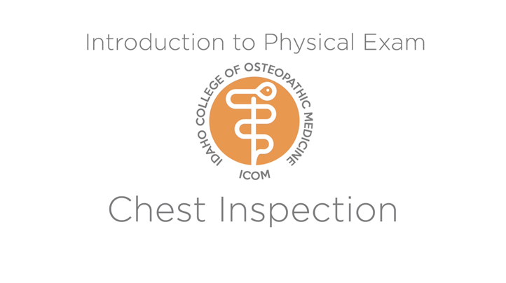 Chest Inspection