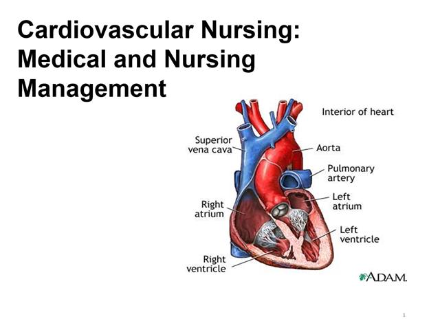 Class 1: Cardiovascular Nursing: Medical & Nursing Management