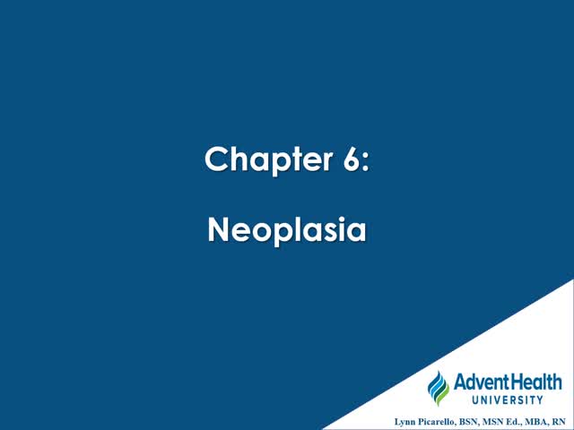 Module 6 Pre-Recorded Lecture
