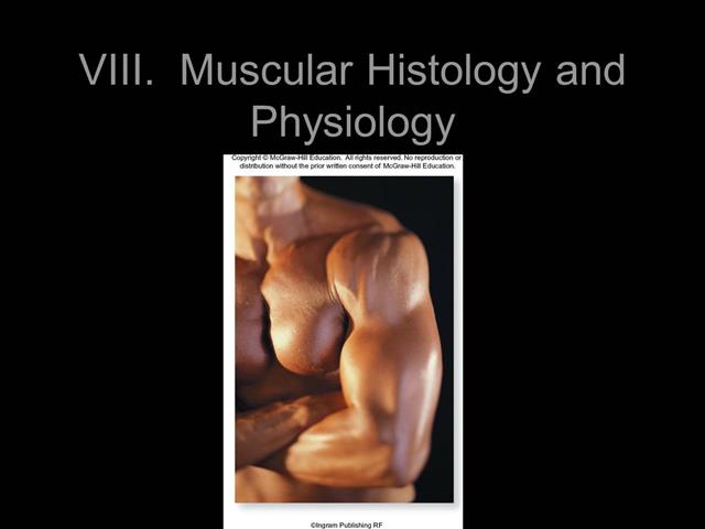 Muscle Histology & Physiology