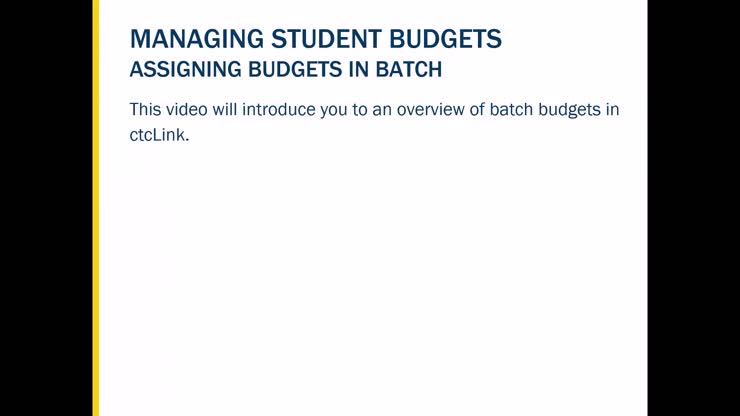 Assigning Budgets in Batch - Setting the Budget Flag for All Terms