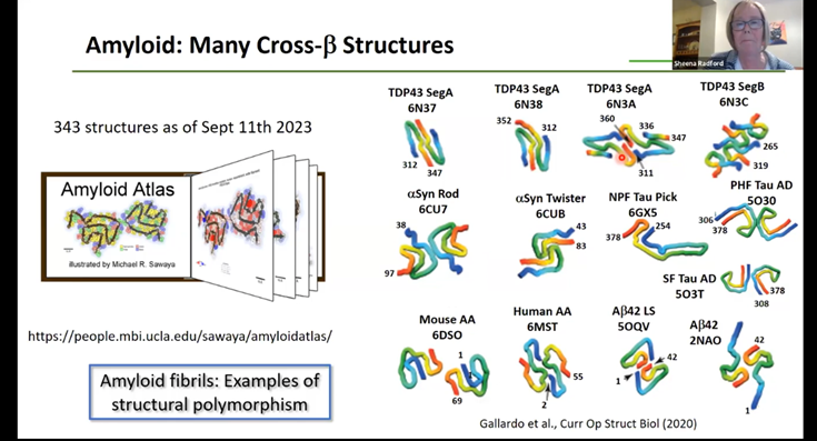 Sheena Radford- 10/11/2023