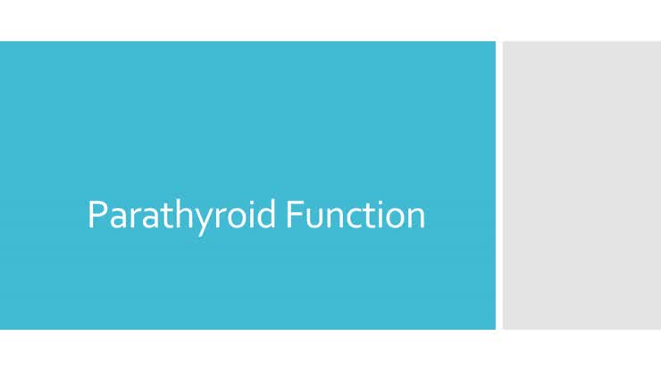 Parathyroid Function