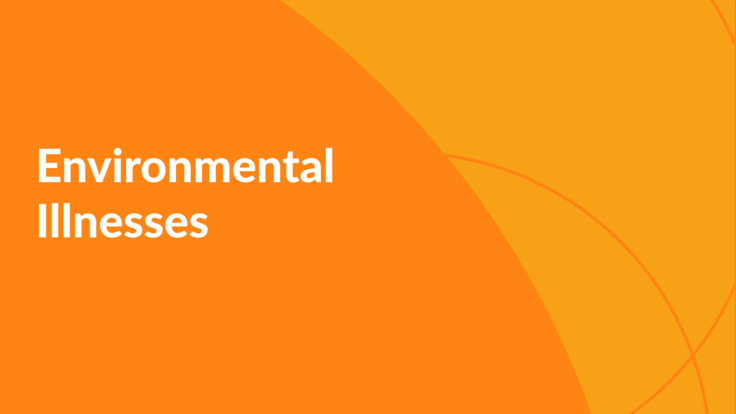 6. Environmental Illness