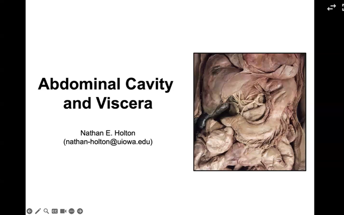 1-16 Abdominal Cavity and Viscera Cont. [Holton]