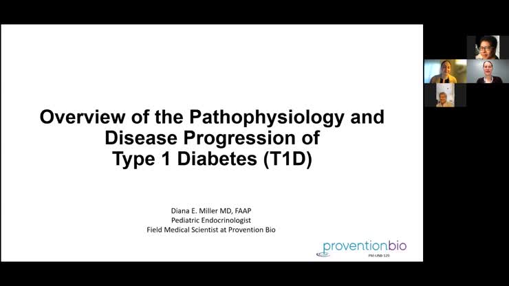 Overview of the Pathophysiology and Disease Progression in Type 1 Diabetes