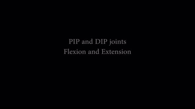 PIP/DIP Flexion and Extension