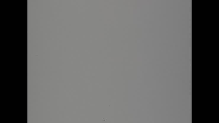 Muhlenberg_College_1962-09-22_17-0_4_H264