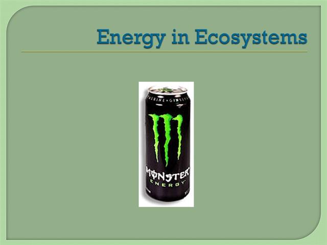 Energy in Ecosystems Powerpoint