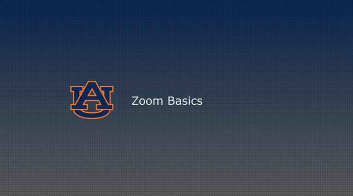 Zoom Basics