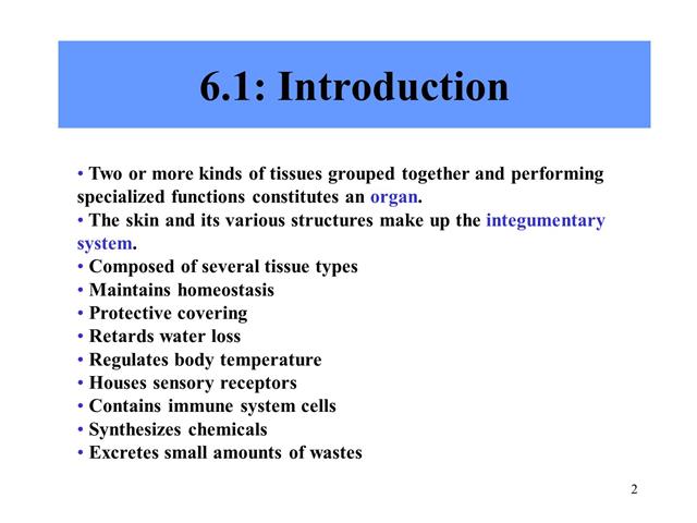 Ch. 6 The Integumentary System