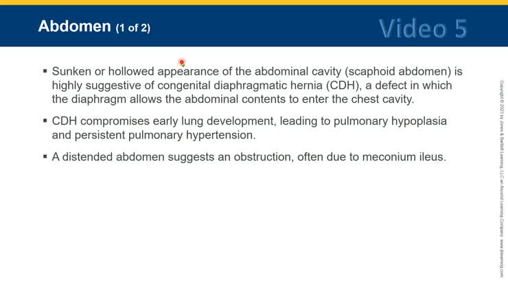 5. Abdominal Assessment