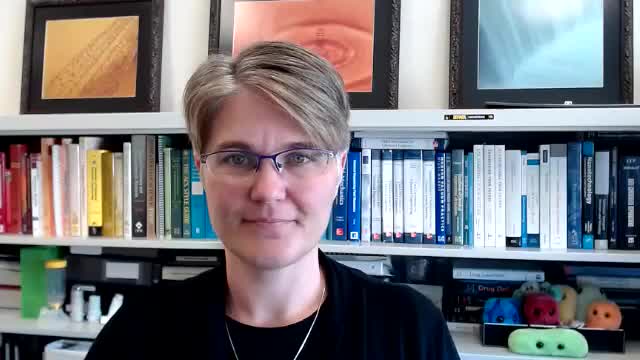 Fiegel Explains Motivation For Research in Chronic Infections (1)