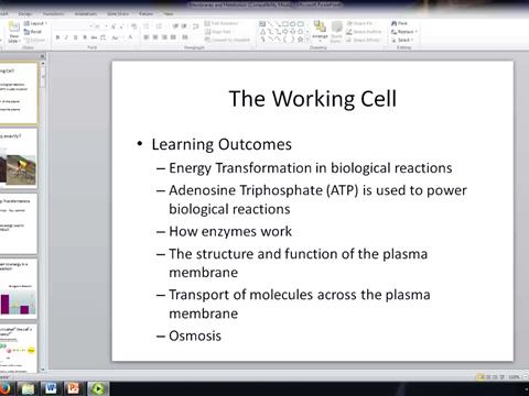 The Working Cell: Cell Membranes and Metabolism