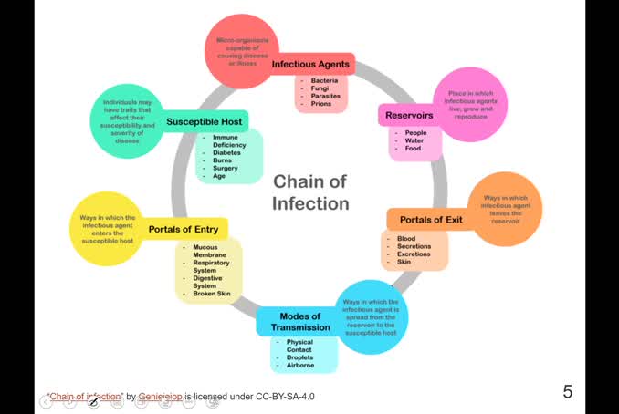 The Infection Chain and Epidemiology Video Lecture