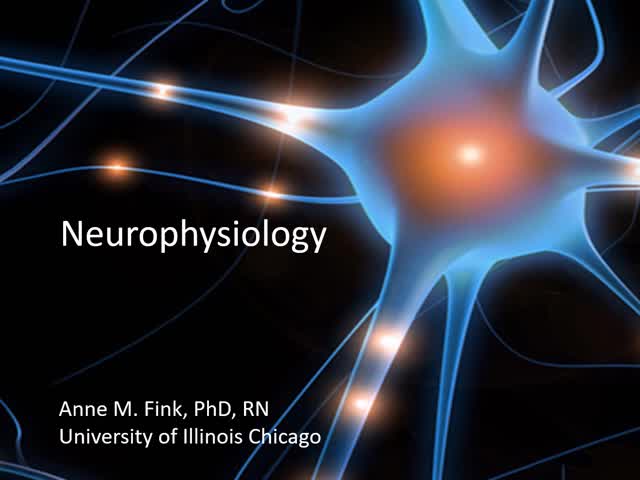 Neurophysiology narrated powerpoint