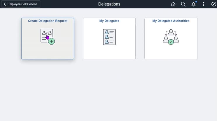 EX_FIN - Create Delegation Request - No Audio