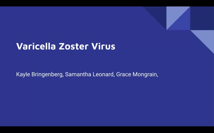 immunology project