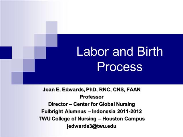 Labor and Birth Process