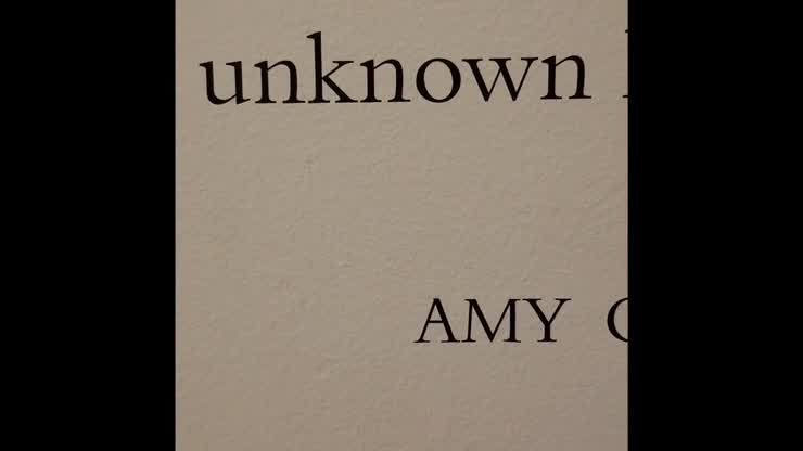 Amy Childress MFA Thesis Show Video Walkthrough