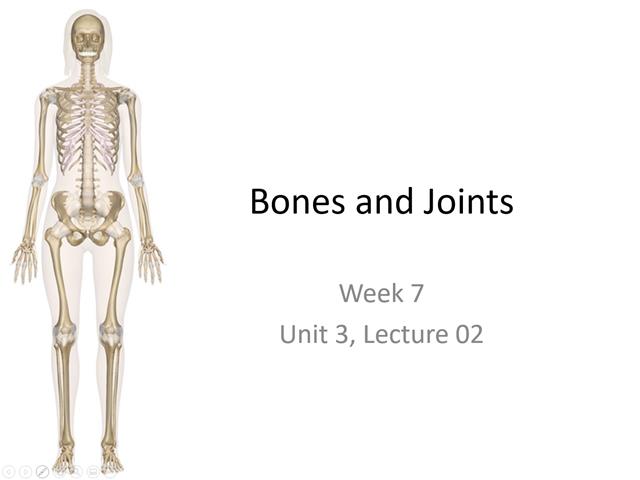 Week 7_U3L02A_Bones and Joints_Bone Structure (19 min)