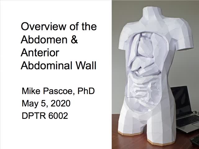 Overview of the Abdomen & Anterior Abdominal Wall