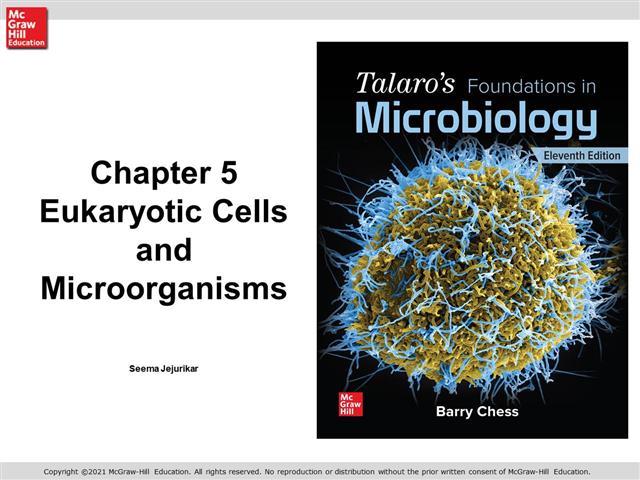 Chapter 5 - Eukaryotic cells and microorganisms