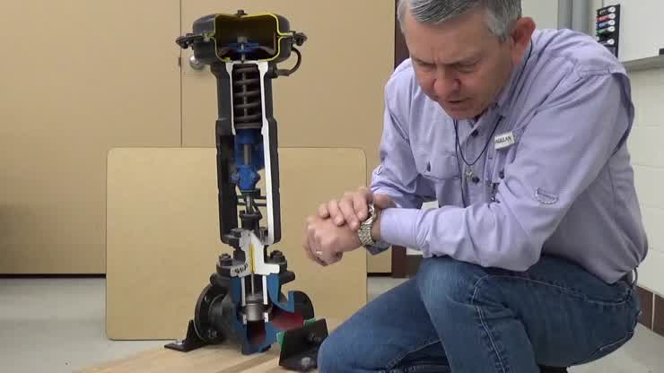 Chapter 13 Control Loops: Control Valves and Regulators