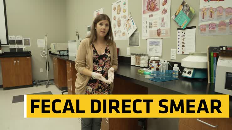 Fecal Direct Smear (Veterinary Nursing Video Series)