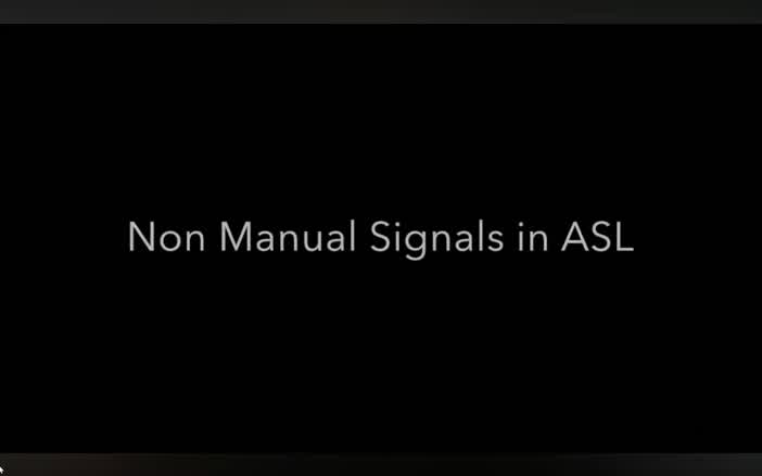 Non Manual Signals in ASL (5:45)