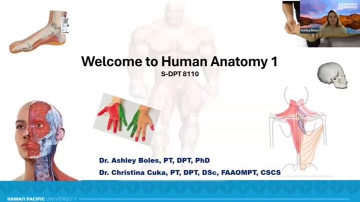 Ashley Boles's Personal Meeting Room