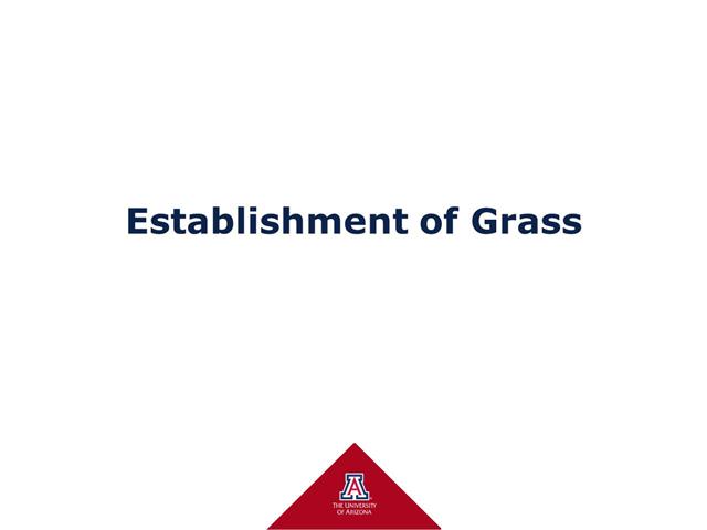 MG Training Turf part III Establishment of Grass & Watering