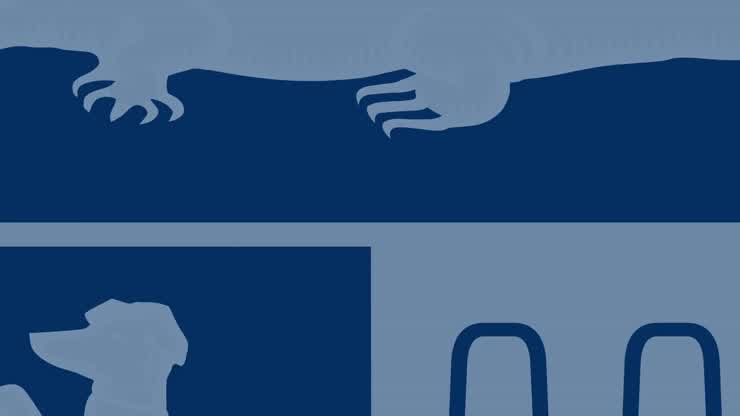 In a Bad State 111623