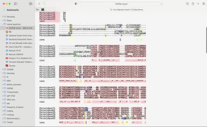 Walkthrough_MSA_TCoffee_Expresso