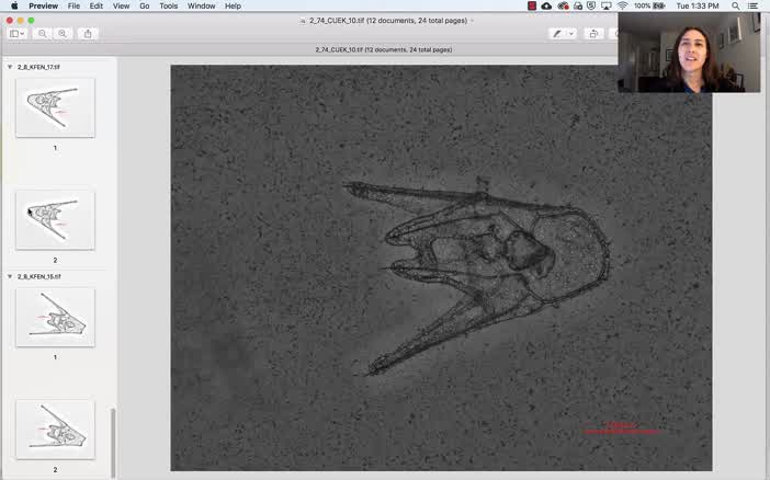 Lab 9 - Urchin image processing